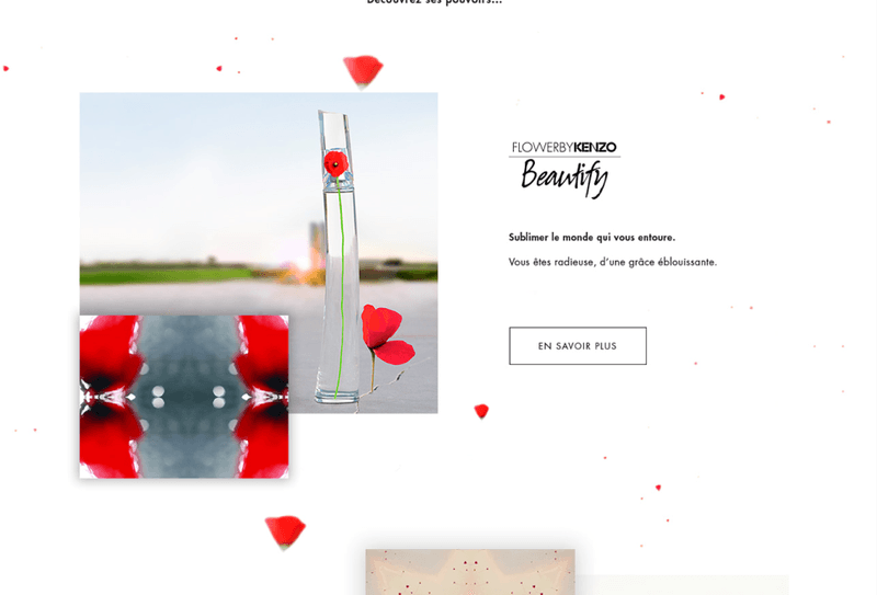 Thibault Picard - Portfolio