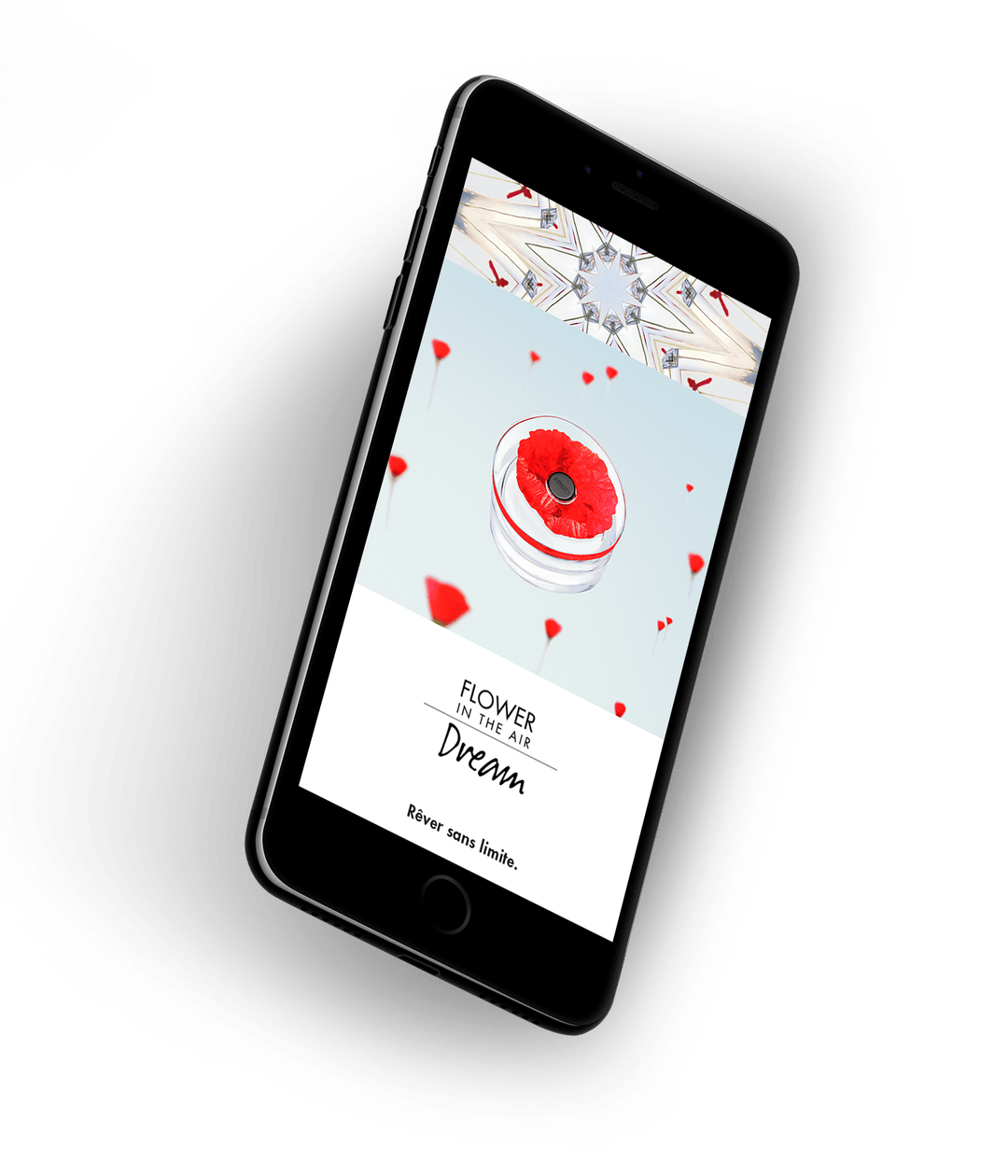 Thibault Picard - Portfolio